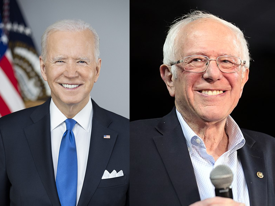 Advertising effectiveness... democratic primary 2020 | digitProAtelier ...