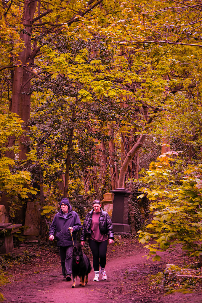 Discovering the Quirky Charm of Abney Park Cemetery Trust in Hackney ...