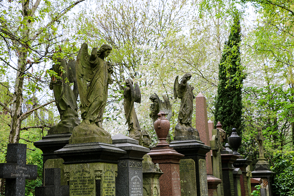 Discovering the Quirky Charm of Abney Park Cemetery Trust in Hackney ...