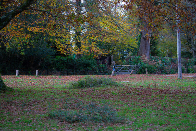 Exploring Bournemouth’s Countryside: A Journey Through Nature and Farm ...