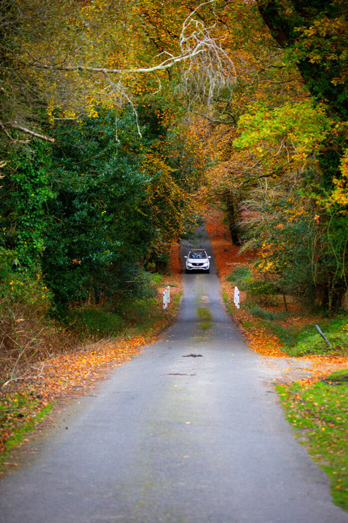 Exploring Bournemouth’s Countryside: A Journey Through Nature and Farm ...